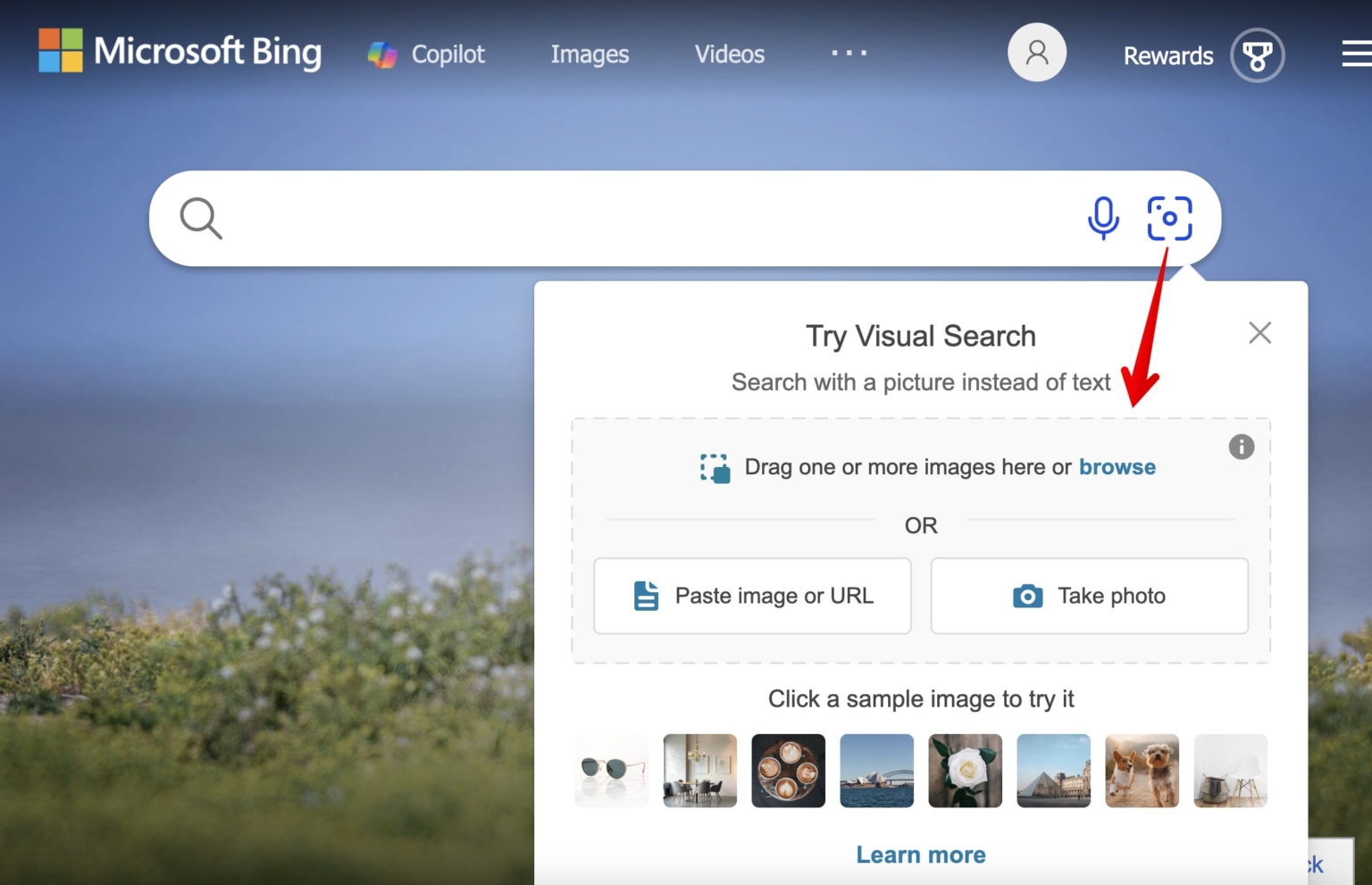 How to Find Someone With a Picture: Guide to Online Tools