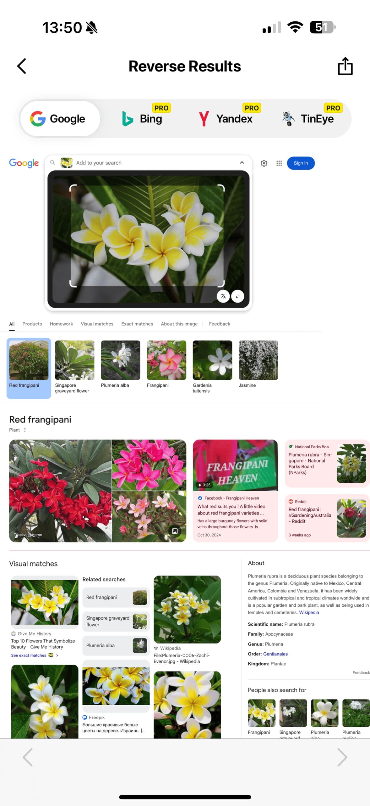 How to Do a Reverse Image Search on iPhone [Methods for iOS]