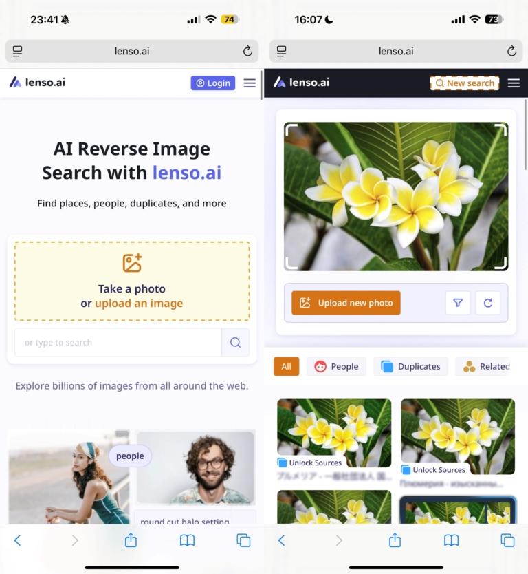 How to Do a Reverse Image Search on iPhone [Methods for iOS]